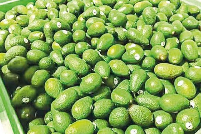 Foreign Investment in Myanmar halves compared to previous year – ENG ...