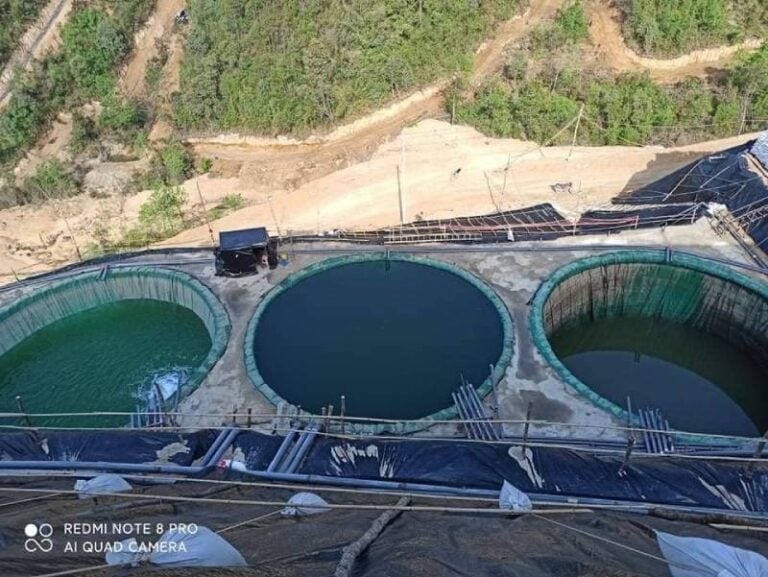 Global Witness: Myanmar’s rare earth boom is poisoning communities ...