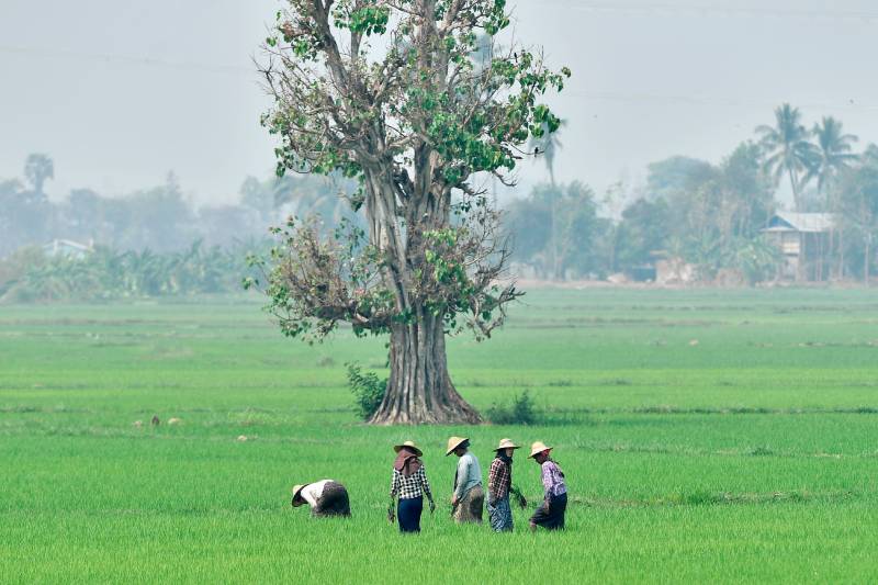 Myanmar News – ENG.MIZZIMA.COM