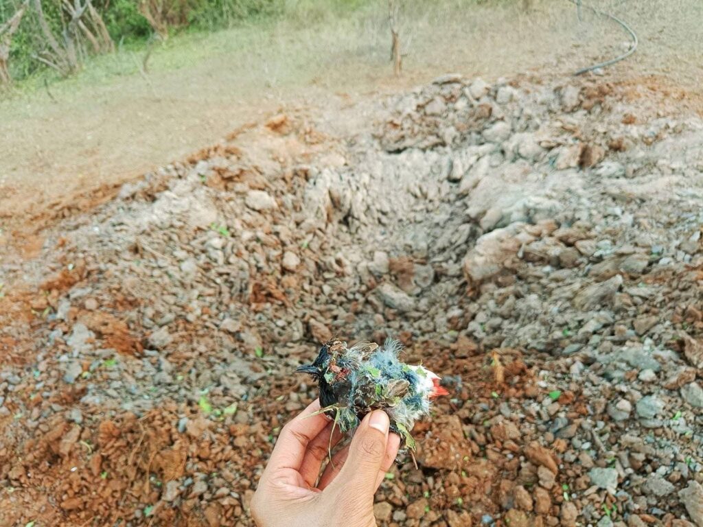 Myanmar junta airstrike on Kani Township farmlands kills one woman ...