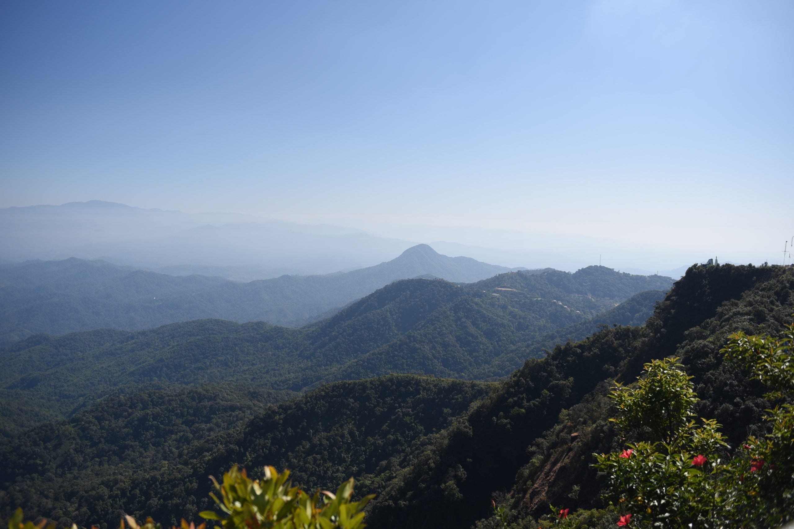 News Archives - ENG.MIZZIMA.COM